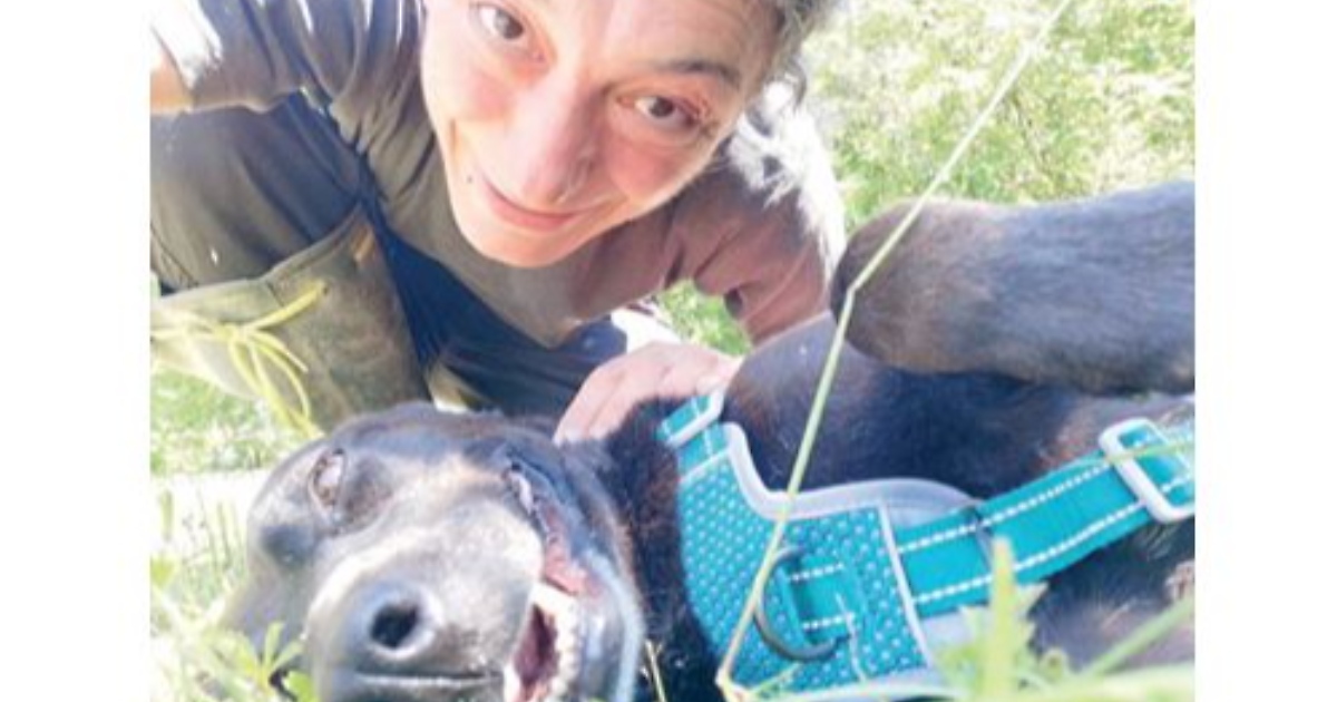 Umbria, cane adottato dopo otto anni in canile: la bella storia d'amore ...