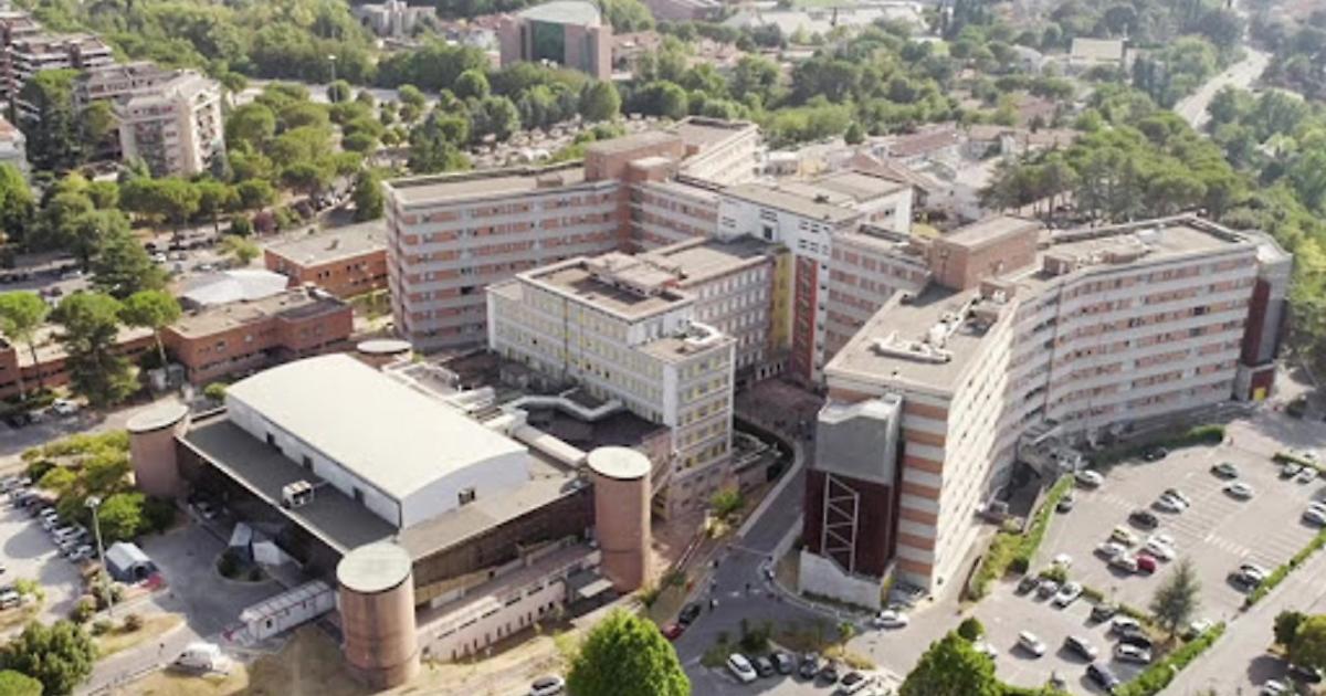 Terni, sta meglio il giovane contagiato dal virus del vaiolo delle scimmie. L'Usl lancia un ...