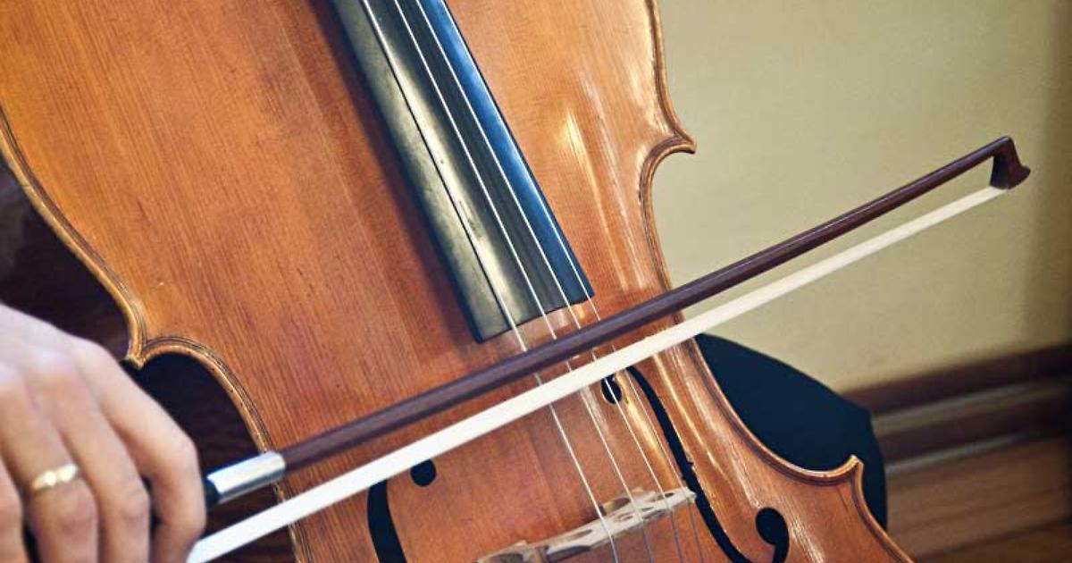 Orvieto, deruba musicista di strada mentre suona il violoncello in ...