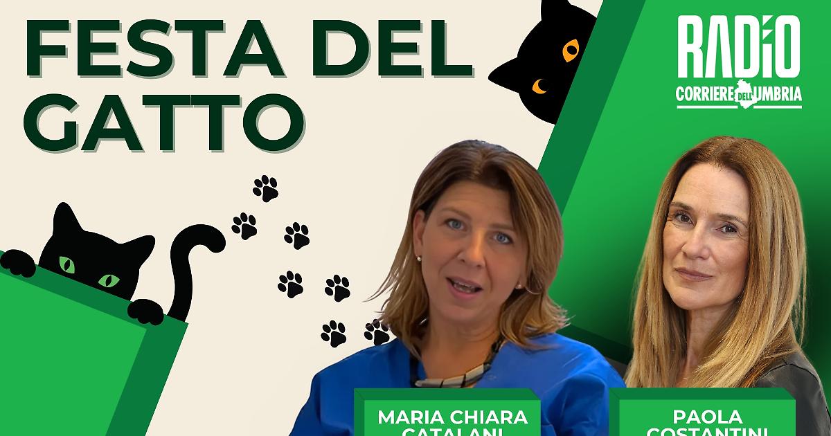 La festa del gatto a Umbria in diretta oggi in onda su Radio Corriere ...