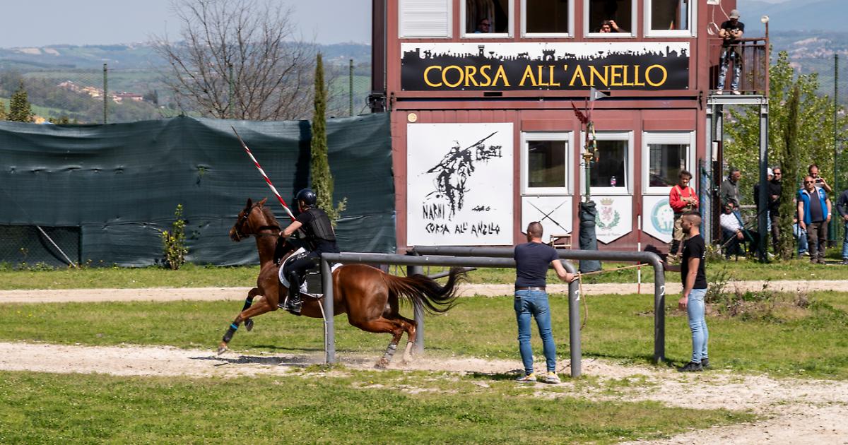 Corsa all'Anello, l'esito delle prime prove ufficiali al campo de li Giochi. Ecco chi sono i ...