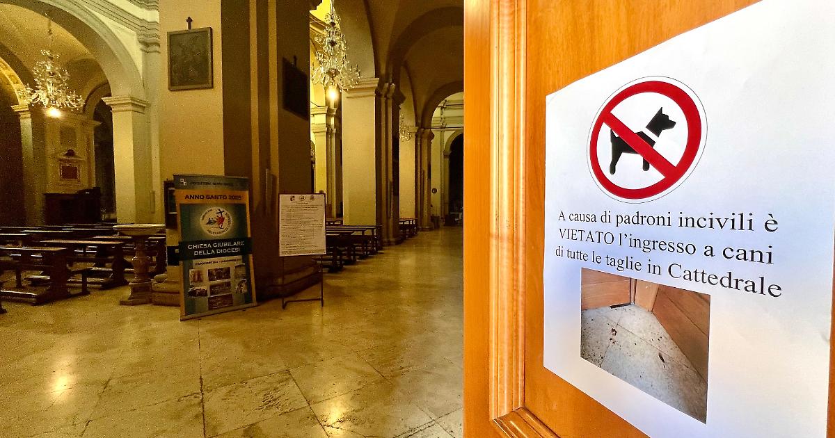 Niente cani all'interno del duomo di Terni, il parroco don Rossini ...