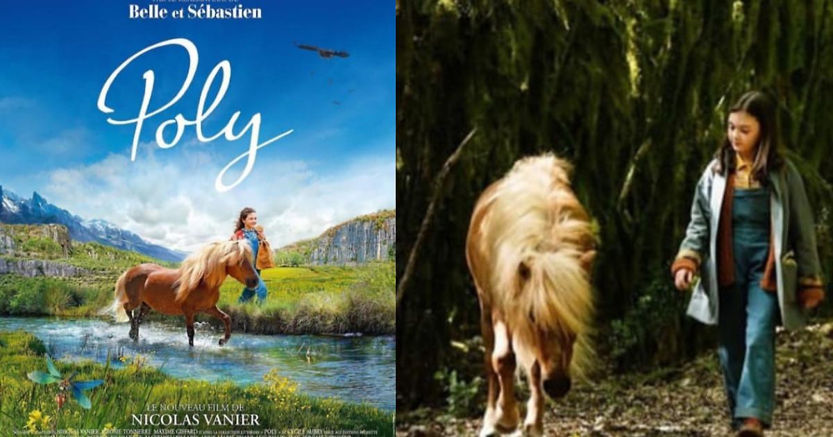 Poly, da star del cinema a icona pop. Perché i pony conquistano tutti ...