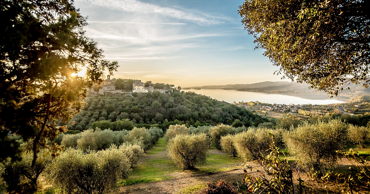 L'Umbria apre la strada a una nuova era dell'olio extravergine e a un ...