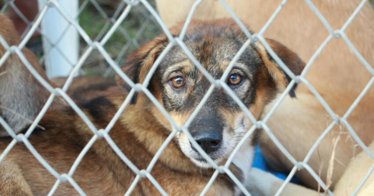 Gubbio, Carlo Cecchini ha donato tramite lascito testamentario 20 mila ...