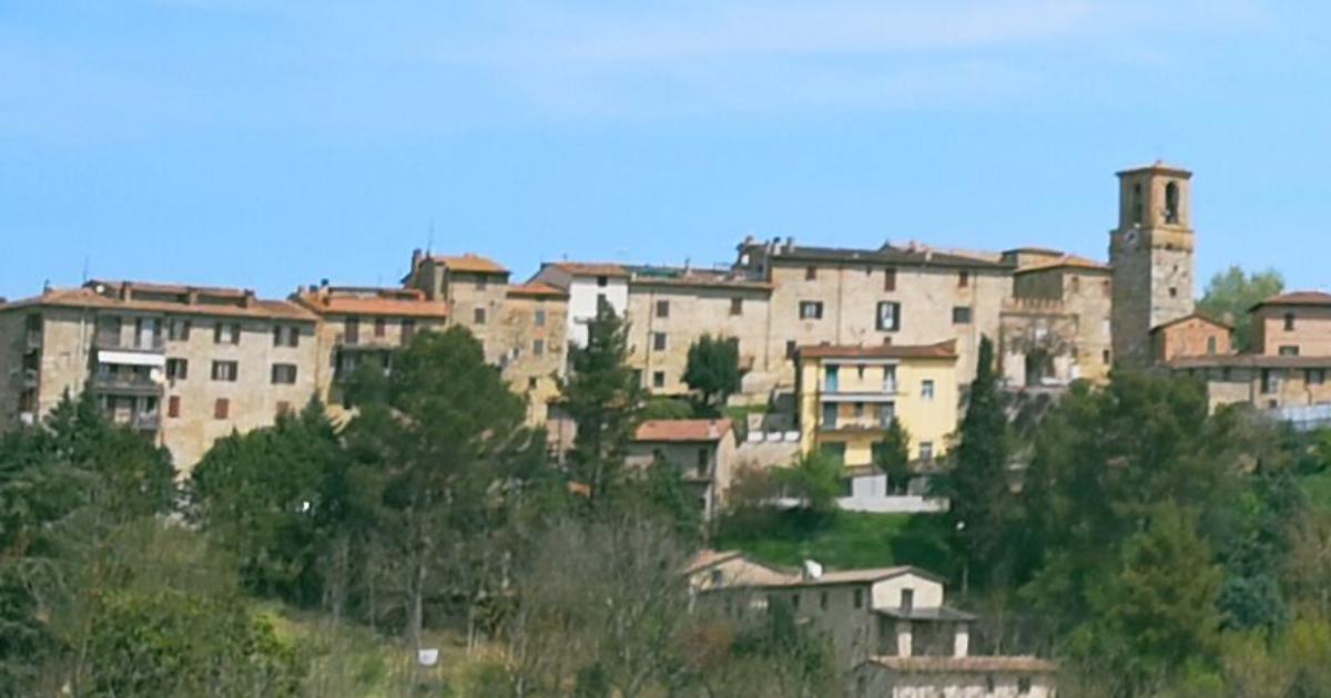 Marsciano, fine dell'allarme pulci a Morcella. Il Comune: "Emergenza ...