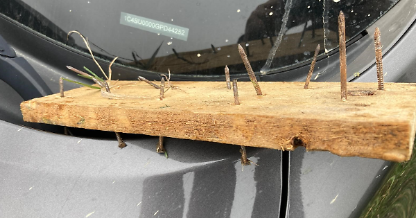 Tavole chiodate sulle strade di campagna, squarciate le gomme di un ...