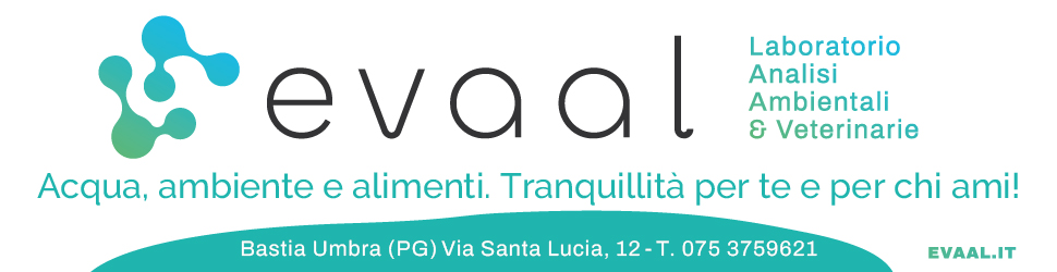 Carlos Diaz Gandia, chi è il coreografo di Gaia: da Tuta Gold di ...